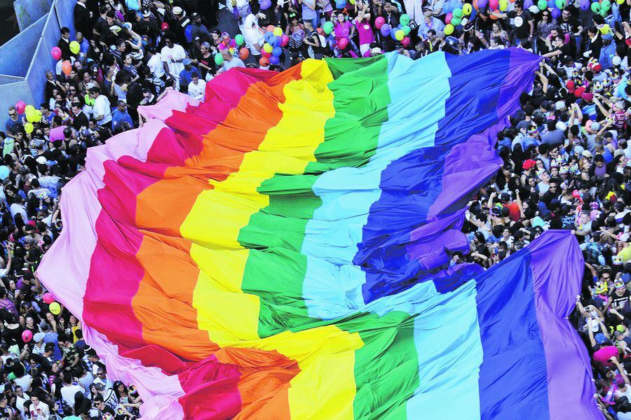 Breve diccionario LGBTI - La Tercera