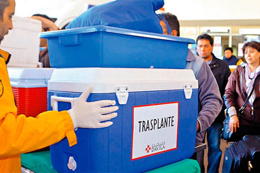 Senado Aprueba Proyecto Que Cambia La Ley E Incentiva La Donación