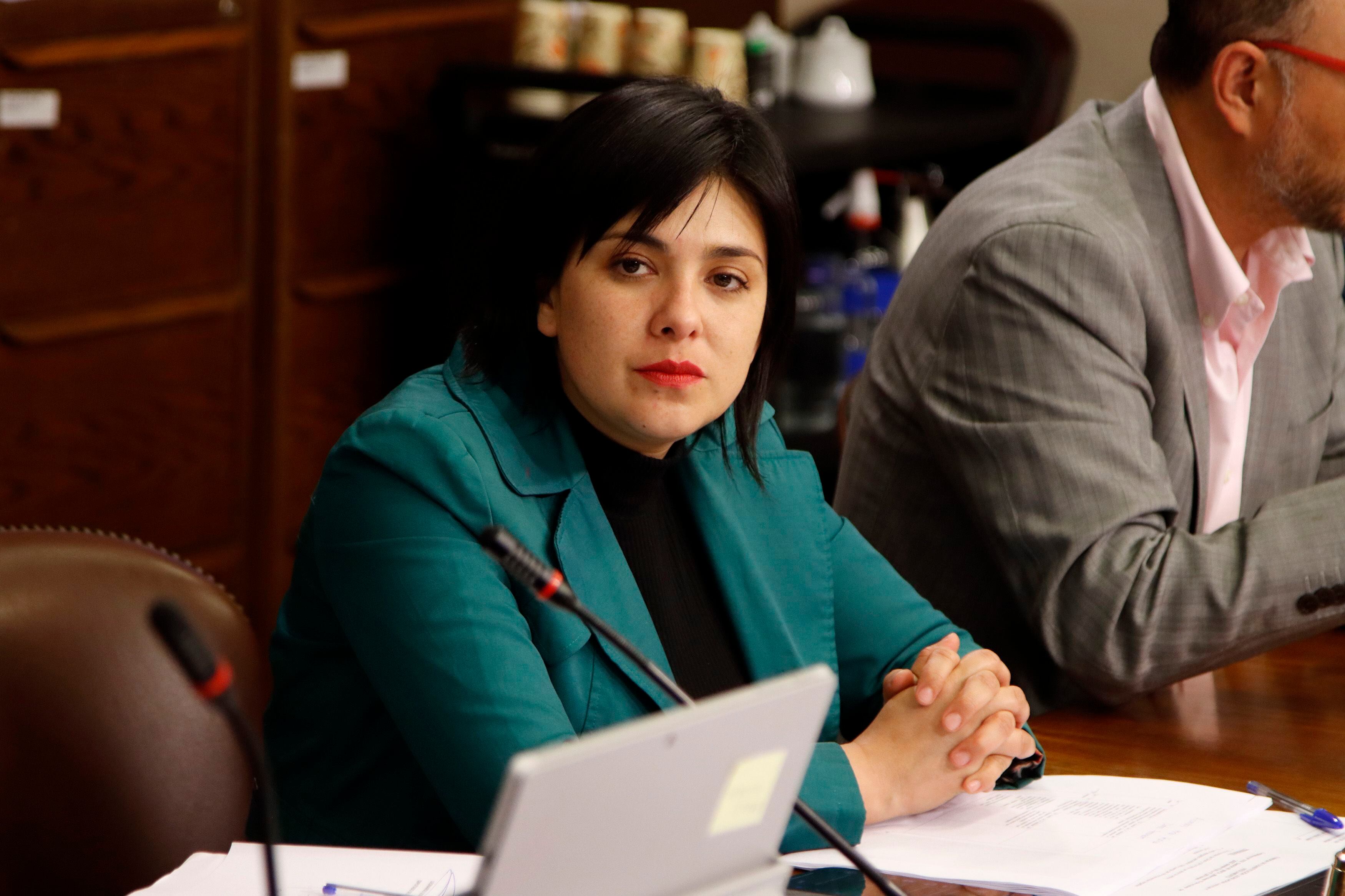 Karol Cariola (PC): “La Ley Maldita se eliminó hace muchos años ...