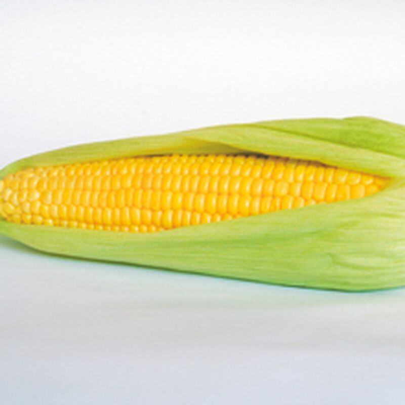 Mi Placer: Choclo - La Tercera