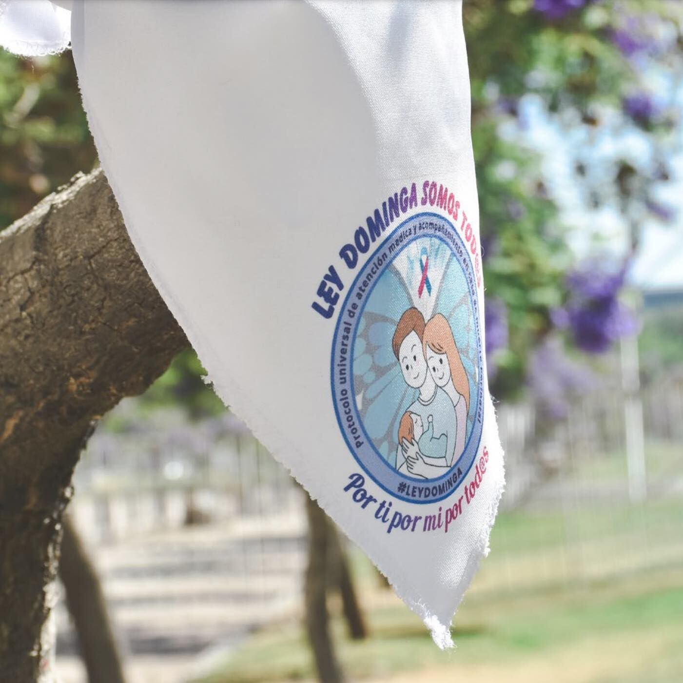 Implementación de la Ley Dominga - La Tercera