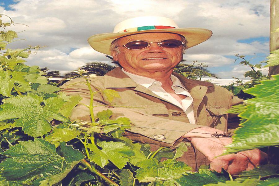 La huella de Agustín Huneeus Cox en el mercado vitivinícola - La Tercera