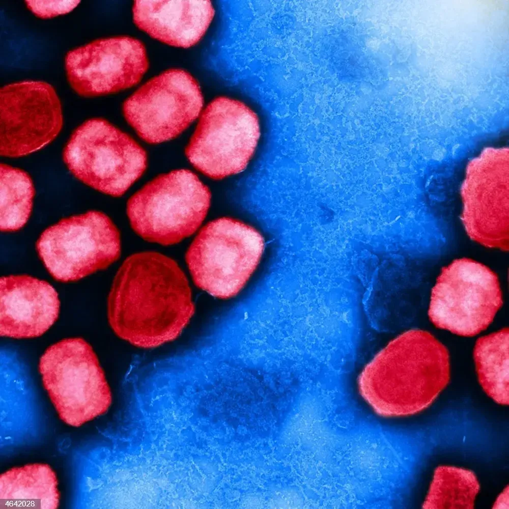 Fact Checking: ¿Mascarillas tienen compuesto que causa cáncer? ¿Estudio ...