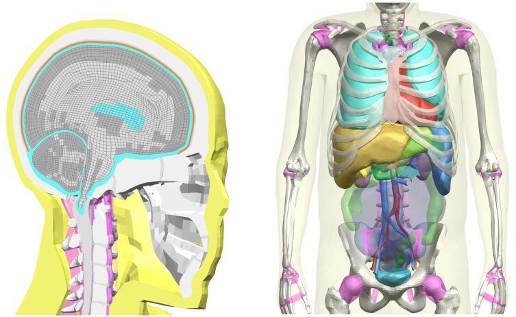 La historia de los dummies que salvan vidas - La Tercera