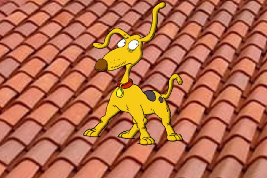 Baje a firulais: El viral con la risa más contagiosa - La Tercera