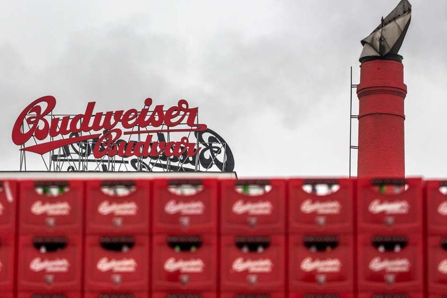 AB InBev sufre su primera caída en ganancias anuales presionada por ...