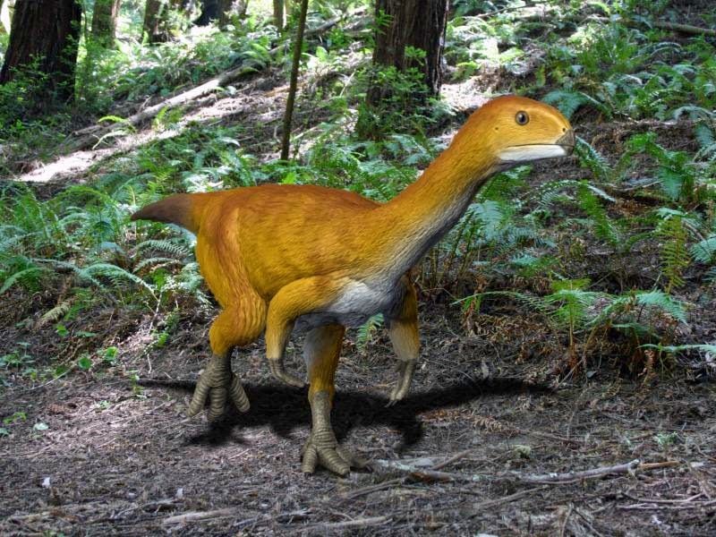 Chilesaurio, el dinosaurio más extraño del mundo, es el “encargado” de ...