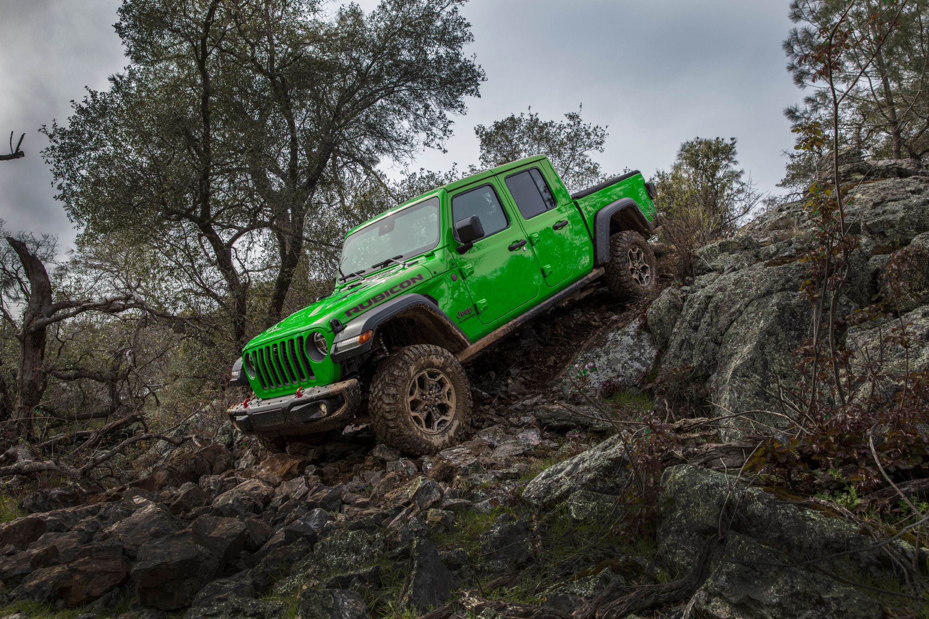 Verde Gekkota: la camioneta Jeep Gladiator suma un reptiliano tono a la ...