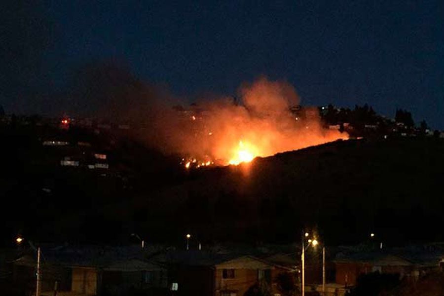 Onemi mantiene alerta roja en Viña del Mar por incendio forestal en ... Onemi mantiene alerta roja en Viña del Mar por incendio forestal en ...