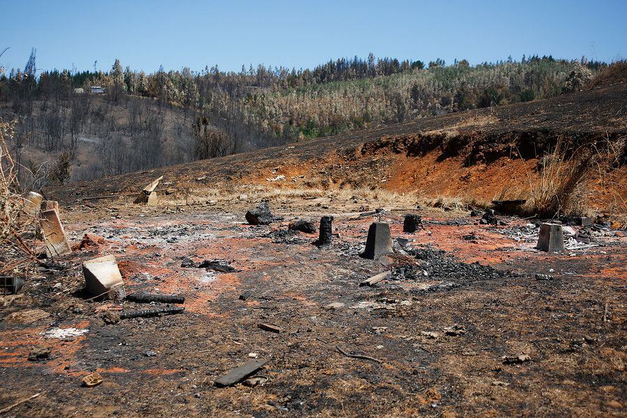 Onemi Reporta 32 Incendios Forestales Activos Y 119 Personas