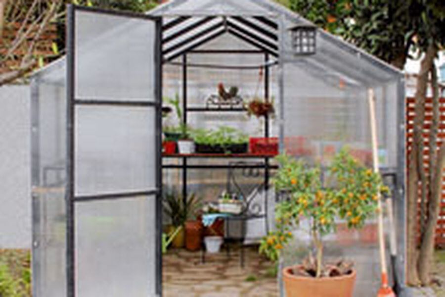 ¡Así es mi vivero! - La Tercera