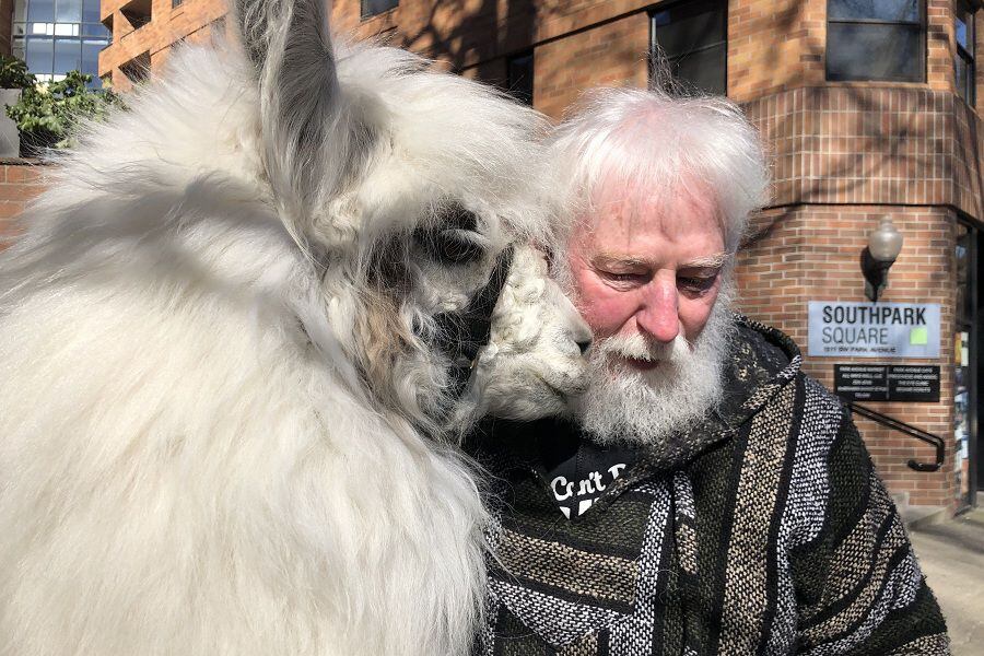 Caesar: la llama activista que defiende derechos civiles en EE.UU. - La ...