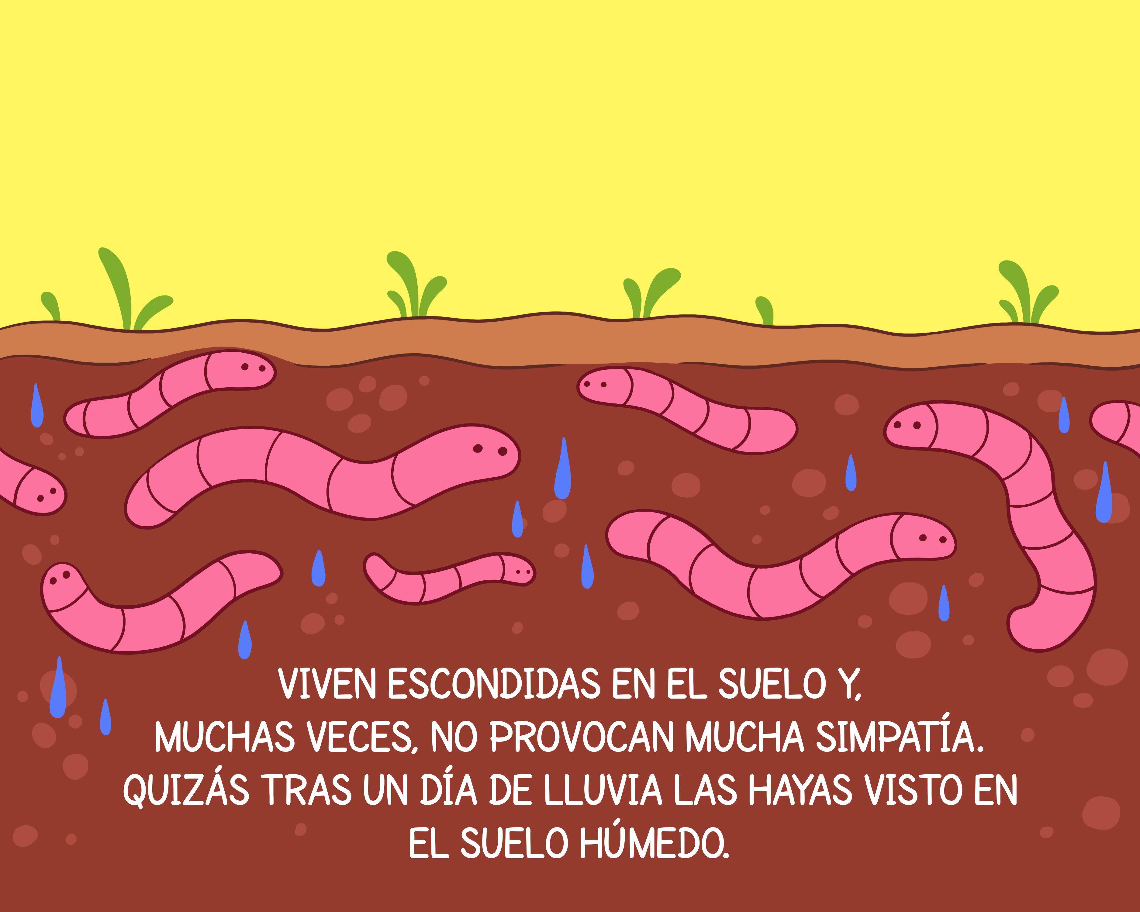 El noble papel de las lombrices de tierra en nuestras vidas - La Tercera