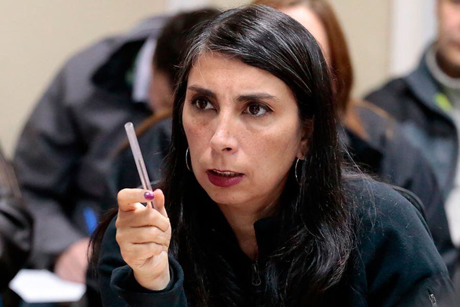 Intendenta Rubilar sobre femicidio en Recoleta: "Lo vamos a hacer pagar ...