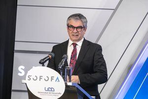 Rag Udd dejará presidencia de BHP Americas - La Tercera