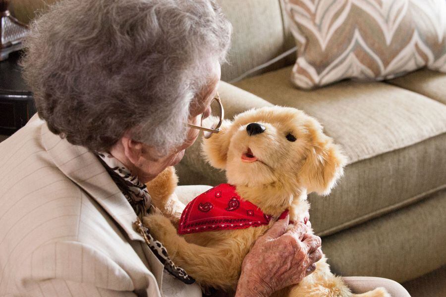 Estos perros robóticos acompañan y ayudan a personas con demencia - La ...