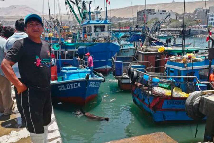 Bolivia Mar, la playa que Perú le cedió a Bolivia y que lleva 26 años ...
