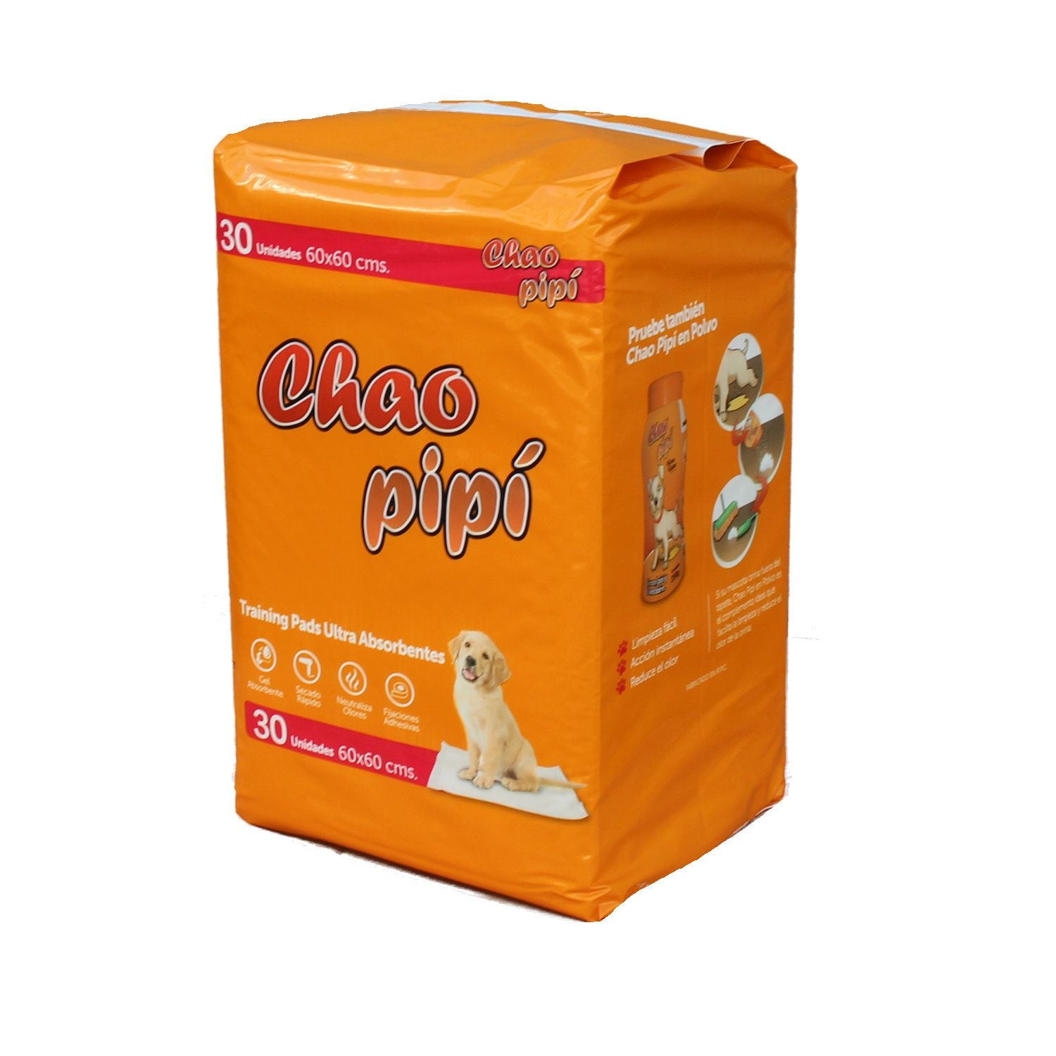 Cómo enseñarle a tu perro a hacer pipí afuera - La Tercera