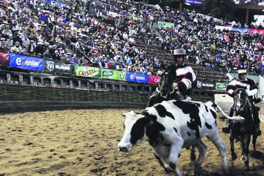 Rodeo reúne a más de 2 millones de visitas al año y supera los 26.000 ...