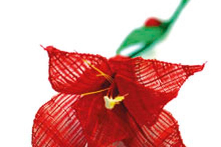 Copihue, flor nacional - La Tercera