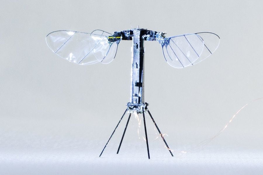 RoboBee, el pequeño robot inspirado en un insecto - La Tercera