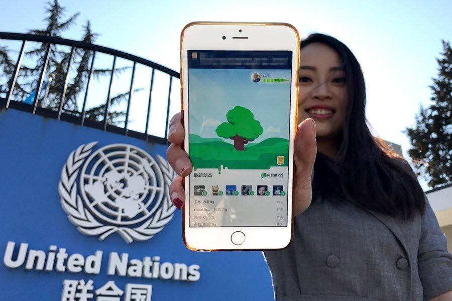 Ant Forest es el popular juego que está ayudando de manera concreta al ...