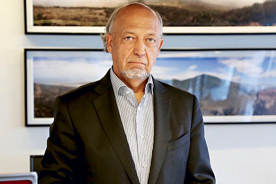 Los ejecutivos clave en la historia de Dominga - La Tercera