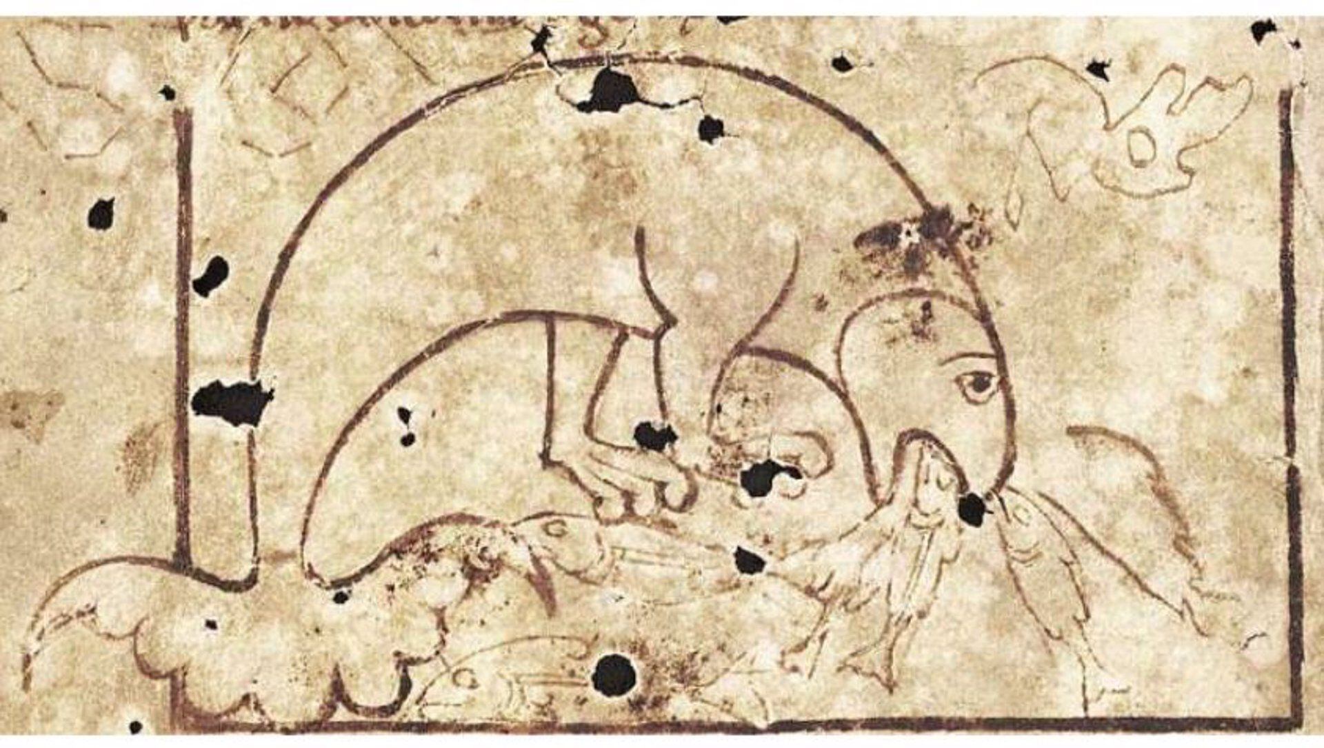 Científicos descubren la verdad tras el aterrador monstruo marino ...