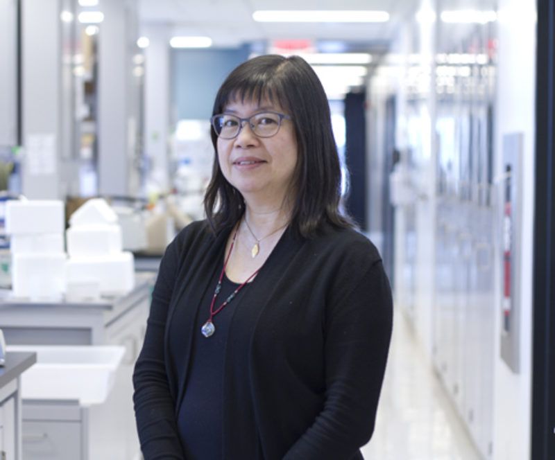 May Griffith, la científica que crea córneas artificiales - La Tercera