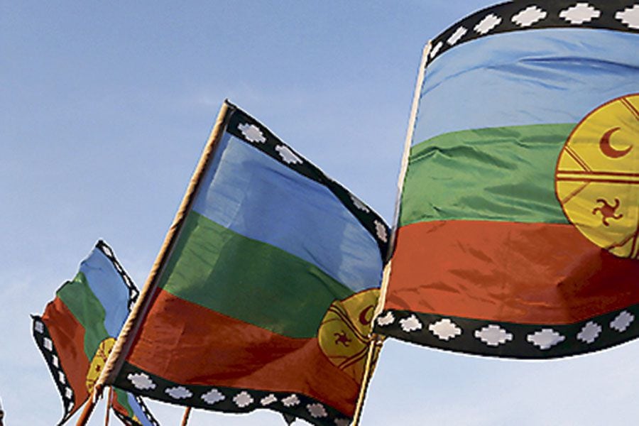 La joven bandera mapuche se toma las calles - La Tercera