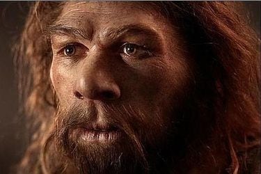 Etiqueta: DENISOVANOS - La Tercera