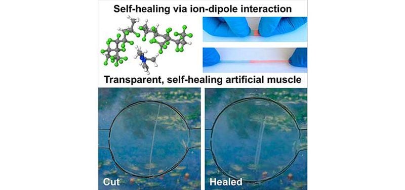 Científicos crean material inspirado en Wolverine que se regenera a sí ...