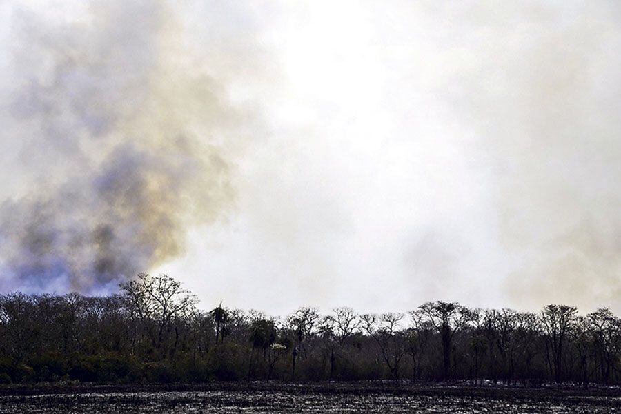 Alertan sobre récord de incendios en Paraguay - La Tercera