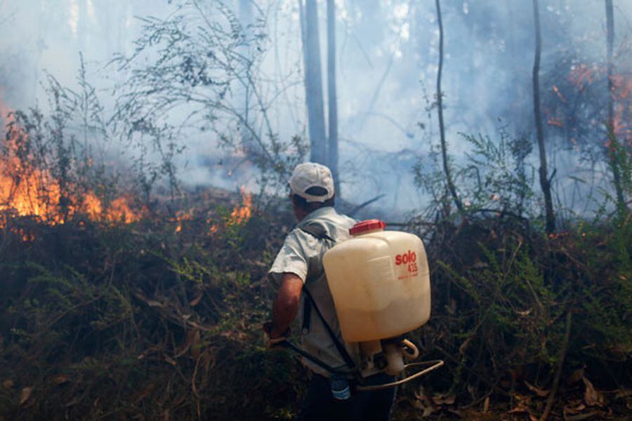 Onemi declara Alerta Roja por incendio forestal en Curacaví - La Tercera Onemi declara Alerta Roja por incendio forestal en Curacaví - La Tercera